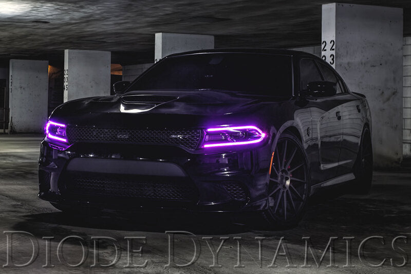 Diode Dynamics 2015-2018 Dodge Charger RGBW DRL LED Boards – TruSpeed ...